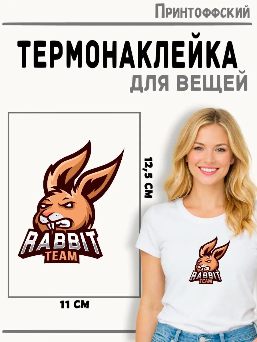 Термонаклейка Ронин — фото 1