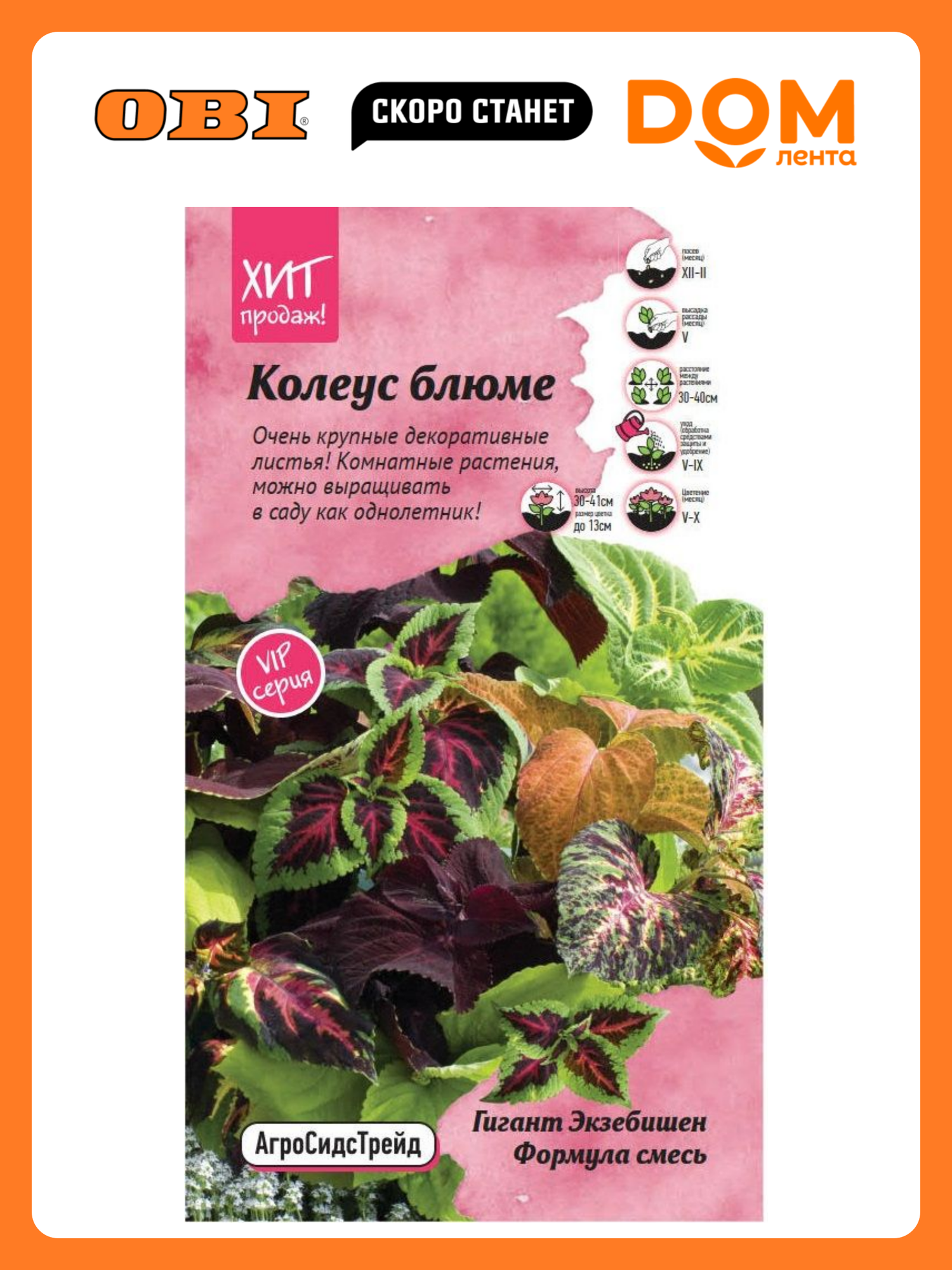 Колеус блюме гиант эксибишен формула смесь  10 шт АСТ