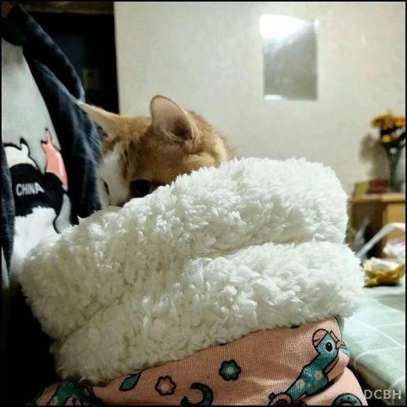 Эксклюзивный утепленный спальный мешок для собак и кошек, закрытая лежанка для зимнего сезона