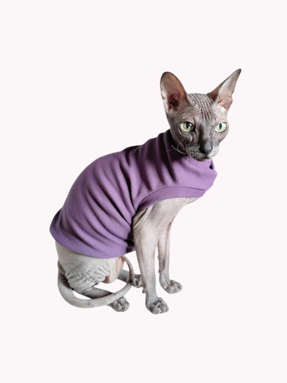 Одежда для животных