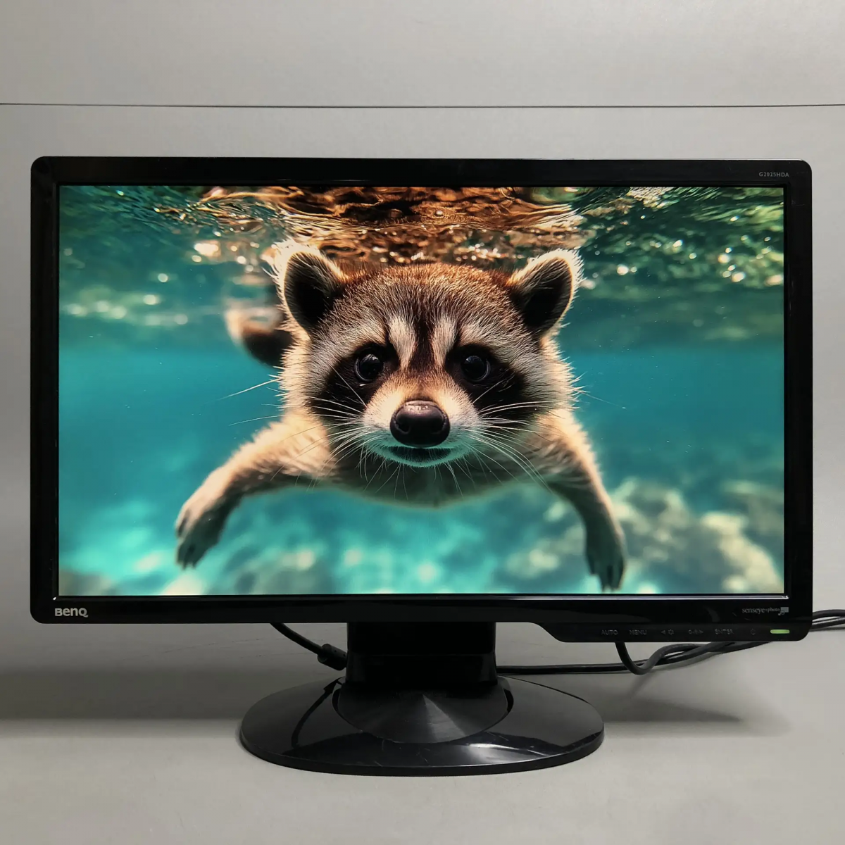 20" Монитор BenQ G2025HDA, 1600x900, TN+film, черный