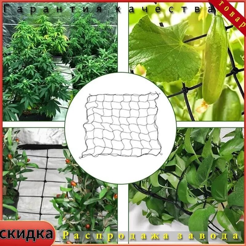 Сетка садовая