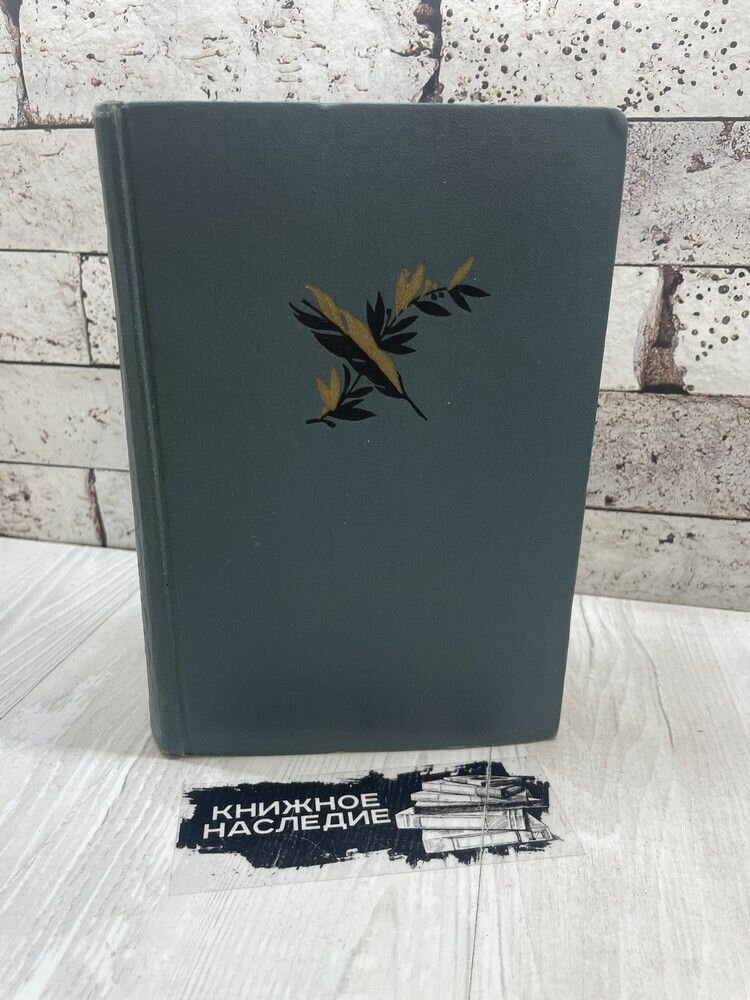 Русские поэты XIX века. Просвещение 1964