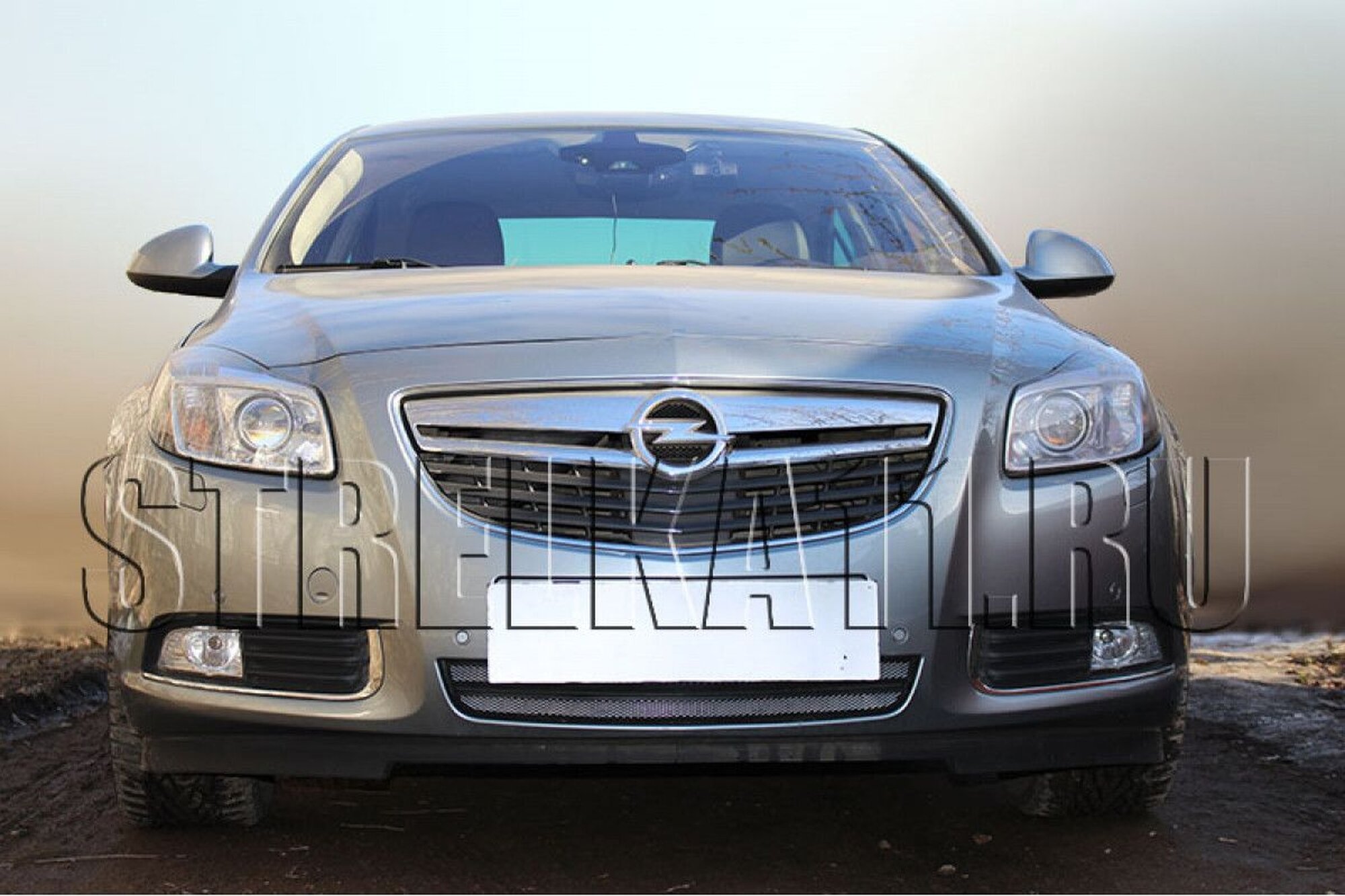 Защитная сетка радиатора с окантовкой и защелками для Opel Insignia 2008-2013 (I), низ, 2шт, хром