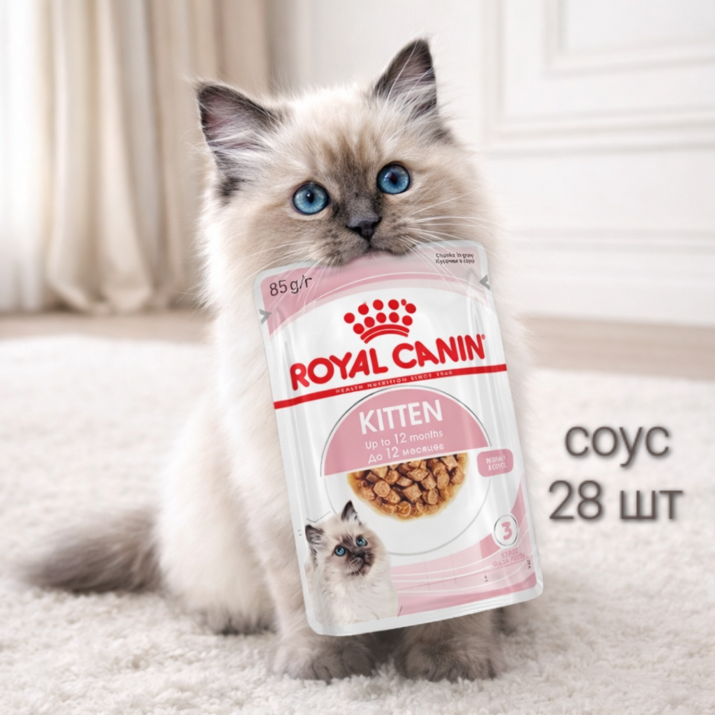 Влажный корм Royal Canin "Kitten", для котят, кусочки в соусе, 28 шт по 85 гр