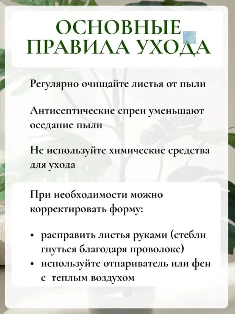 Искусственные цветы фикус дерево декоративное растение силикон 1шт — фото 1