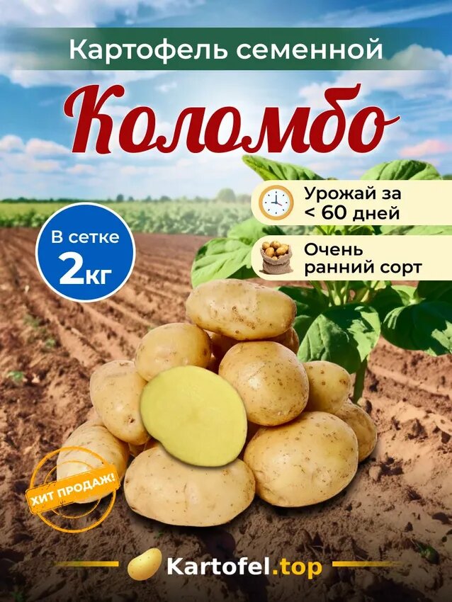 Картофель семенной "Коломбо" элита (2 кг) / саженцы / клубни