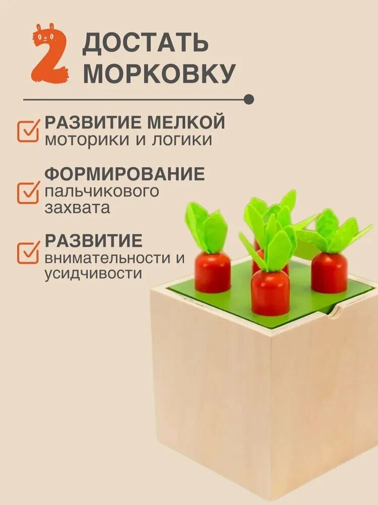 Сортер — фото 1