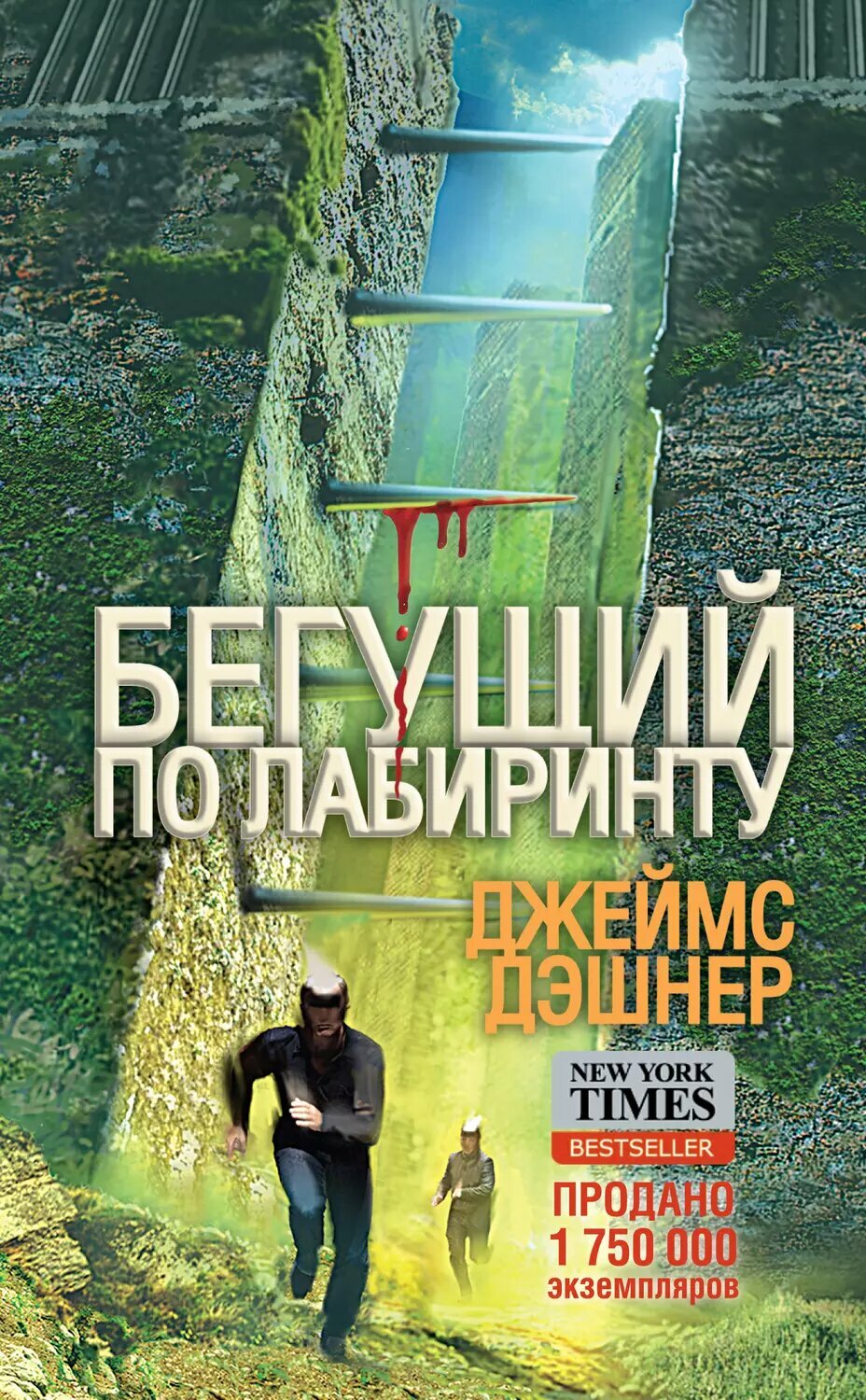 Бегущий по Лабиринту [Цифровая книга]