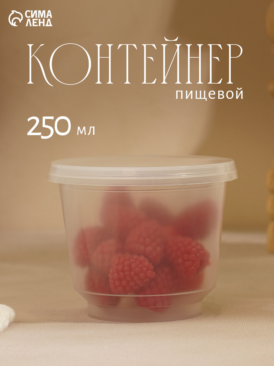 Контейнер для хранения "ПластоС" пищевой 250 мл, с герметичной крышкой, пластик