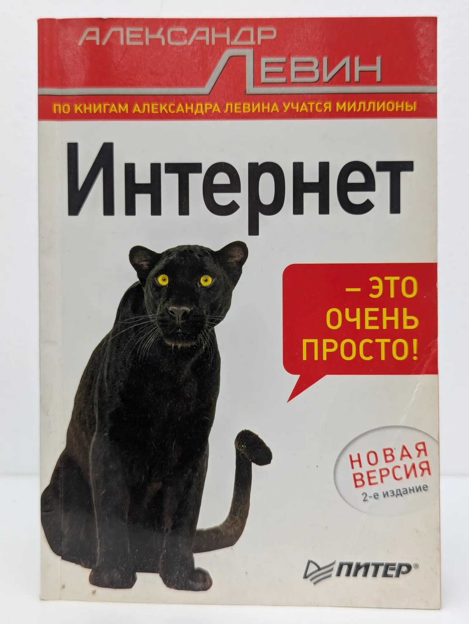Интернет-это очень просто! Левин Александр Шлемович 2008