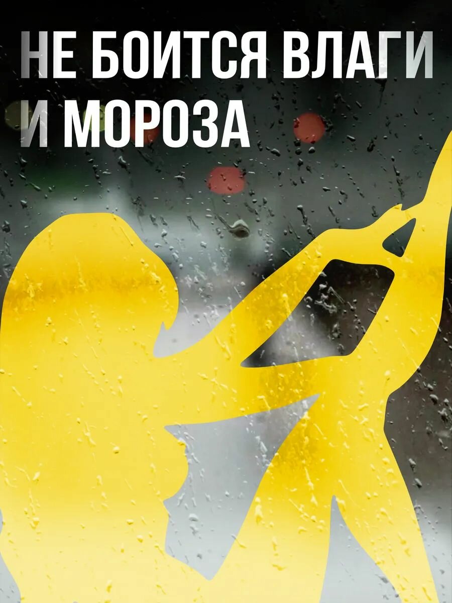 Наклейка на авто Девушка — фото 1