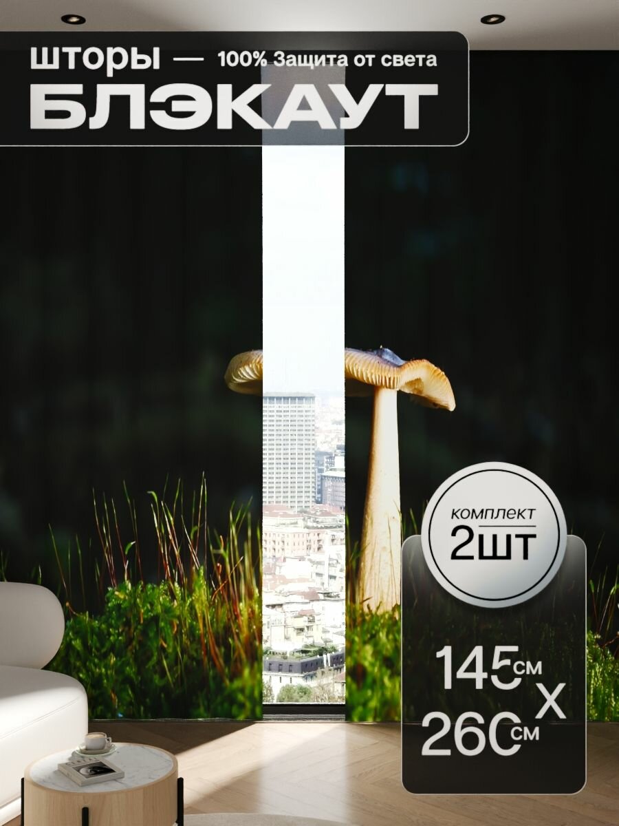 Шторы блэкаут 145x260 см 2 шт на окна плотные комплект