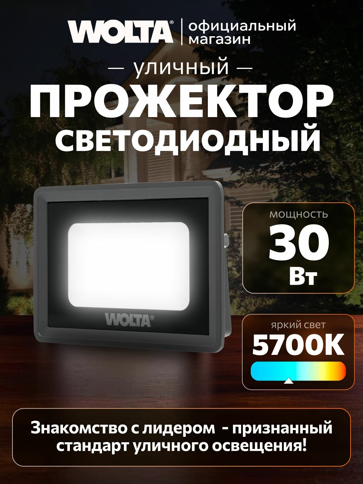 Прожектор светодиодный уличный 30Вт, 2700 Лм, 5700К, влагозащита IP65