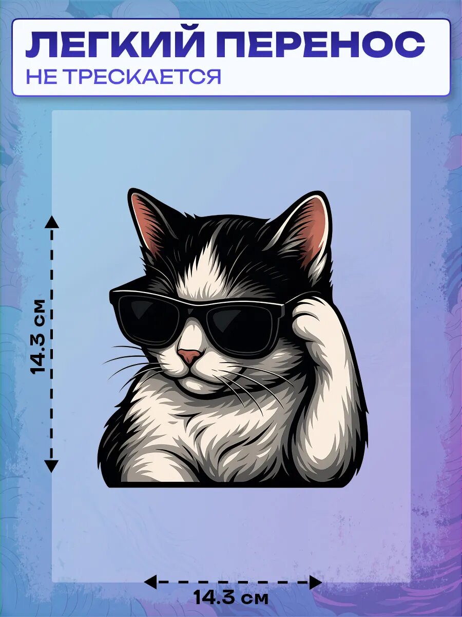 Термонаклейка — «Cool Cat» — фото 1