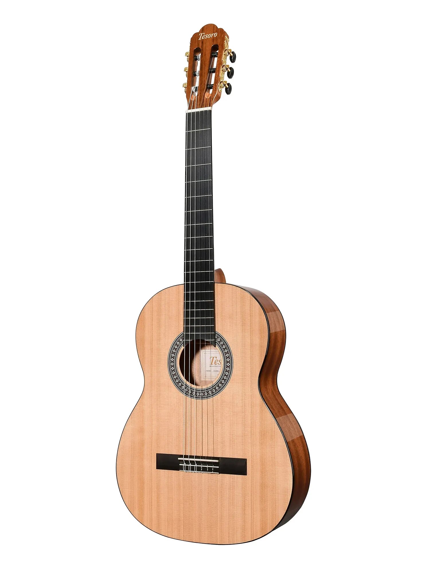 Классическая гитара TESORO TS3940