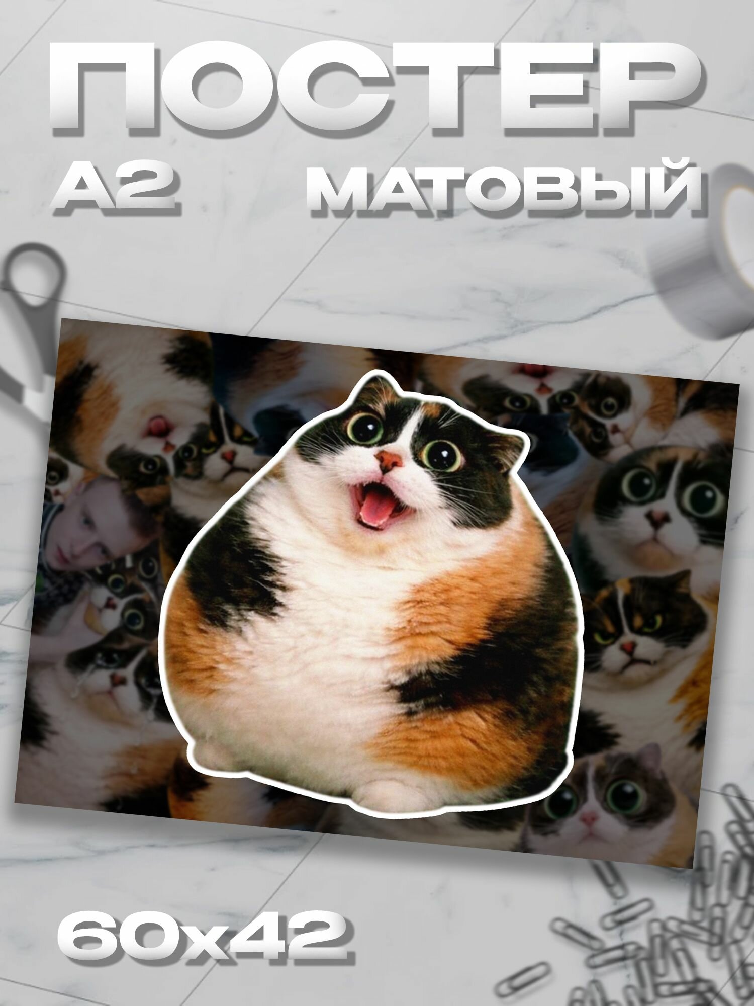 Плакат А2 Mellstroy Мелстрой котость постер / 60*42