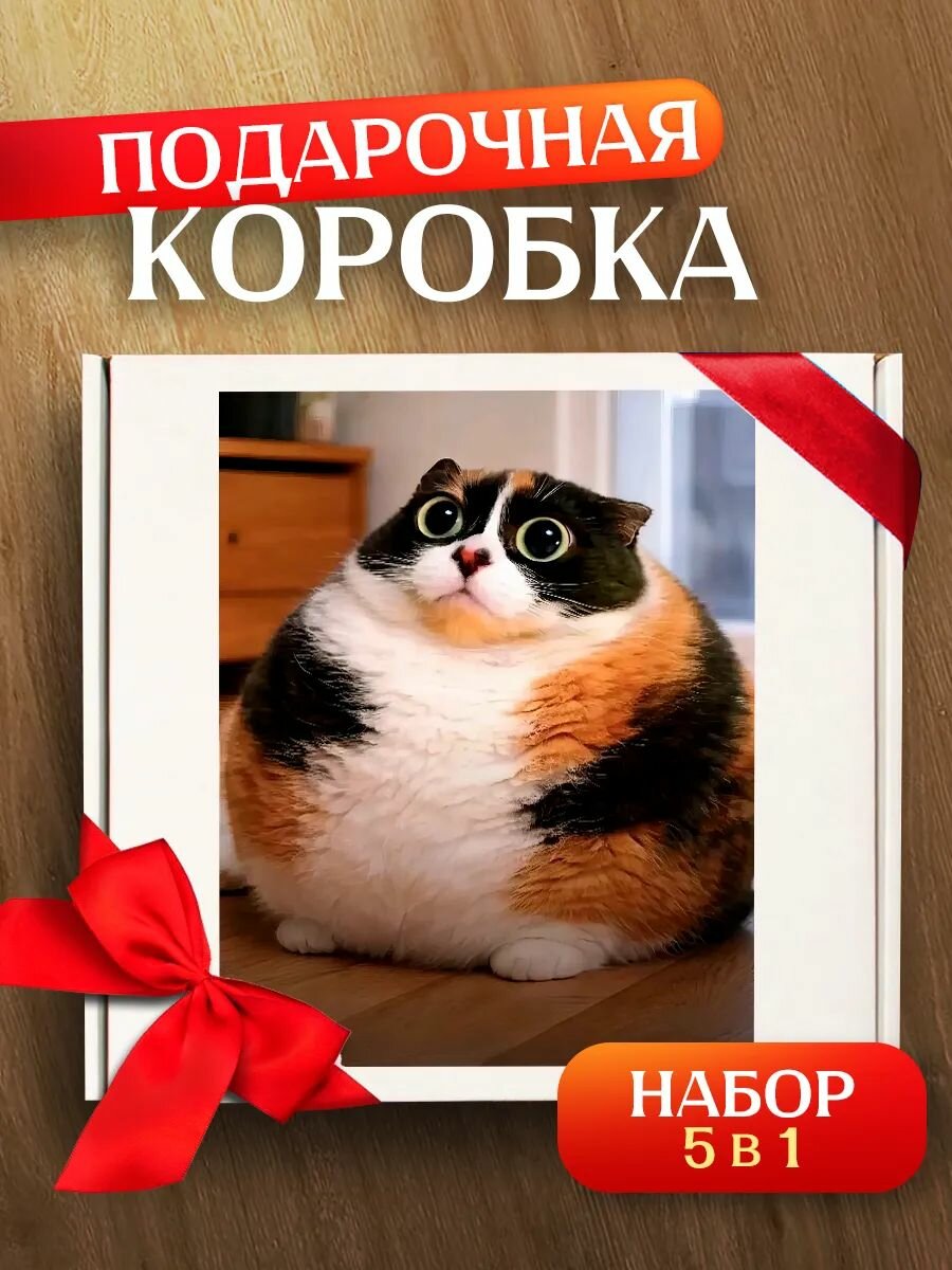 Подарочная коробка Котость мем Куки кот , упаковка для подарка, 1шт, размер 23,5x22,5х10 см