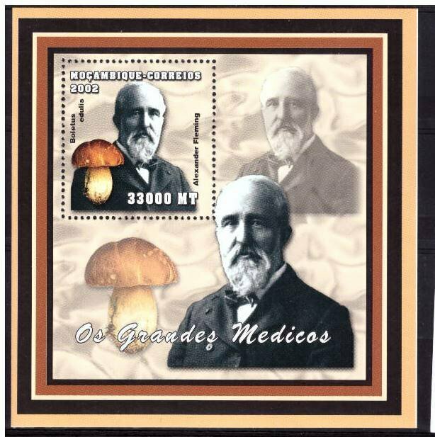 Мозамбик, 2002. (02133) Известные медики, Александр Флеминг (мл)