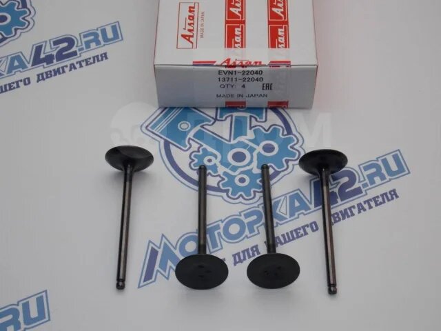 Evn122040