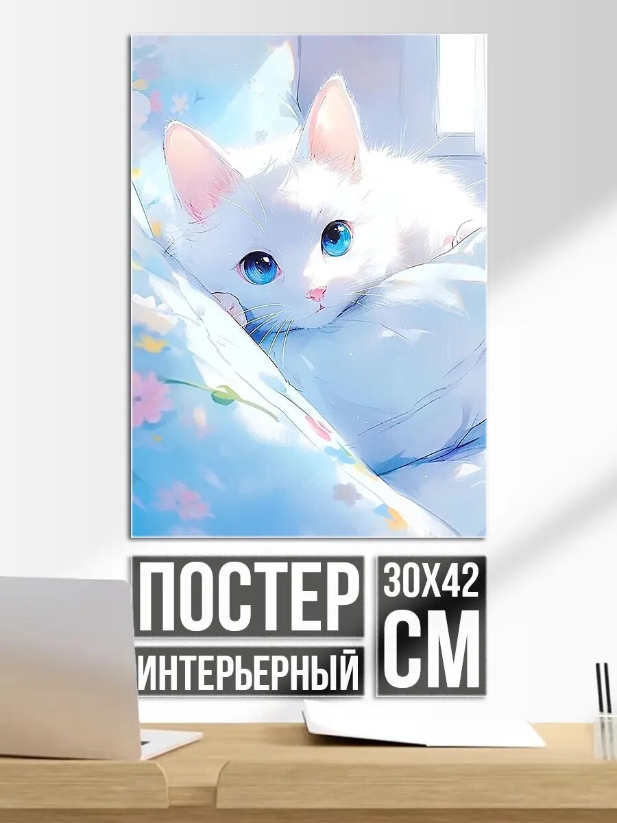 Плакат постер Белый котенок