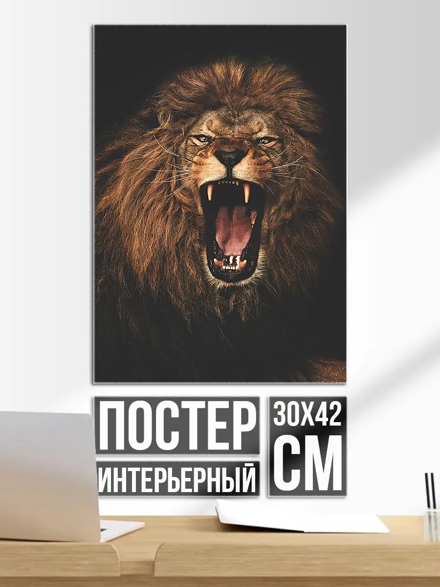 Плакат постер Рычащий лев