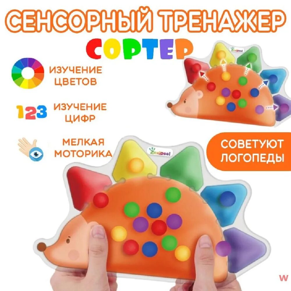Сортер