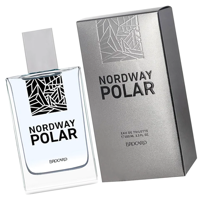 Мужская туалетная вода Brocard Nordway Polar 100 мл - Нордвей Полар
