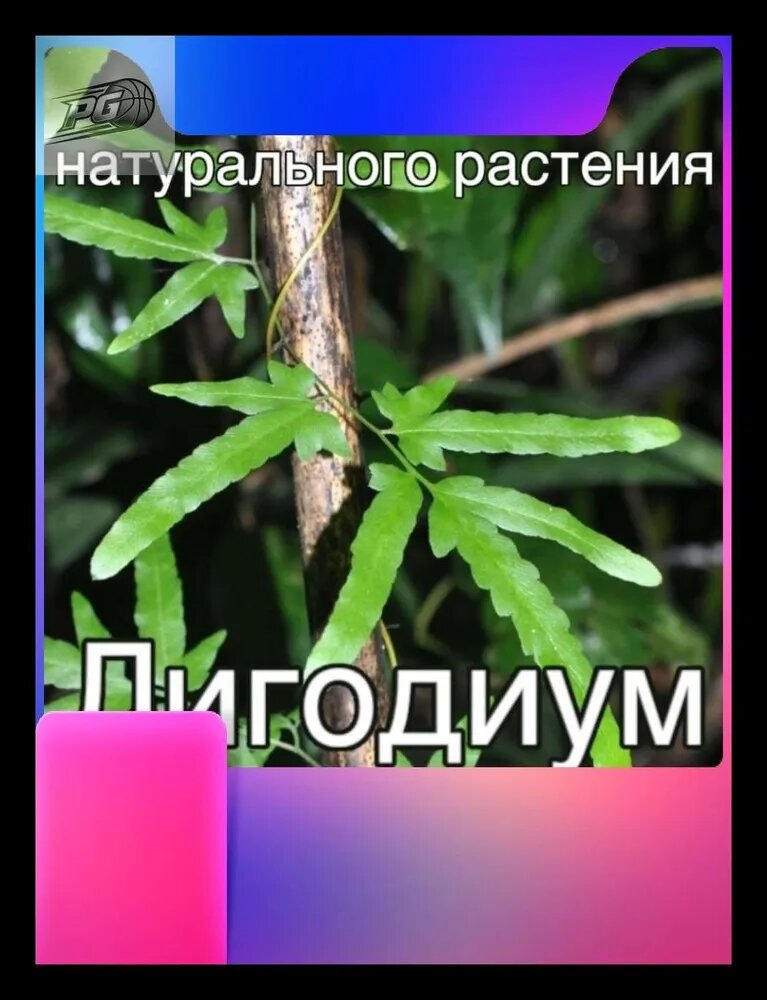 Фигурка садовая — фото 1