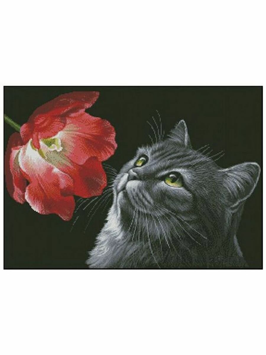 Bышивка гладью для начинающиx Amishop "Тюльпан и черная кошка" DIY, 31 цветов, 18CT Aida, 280 x 198 стежка, 40 x 28 см
