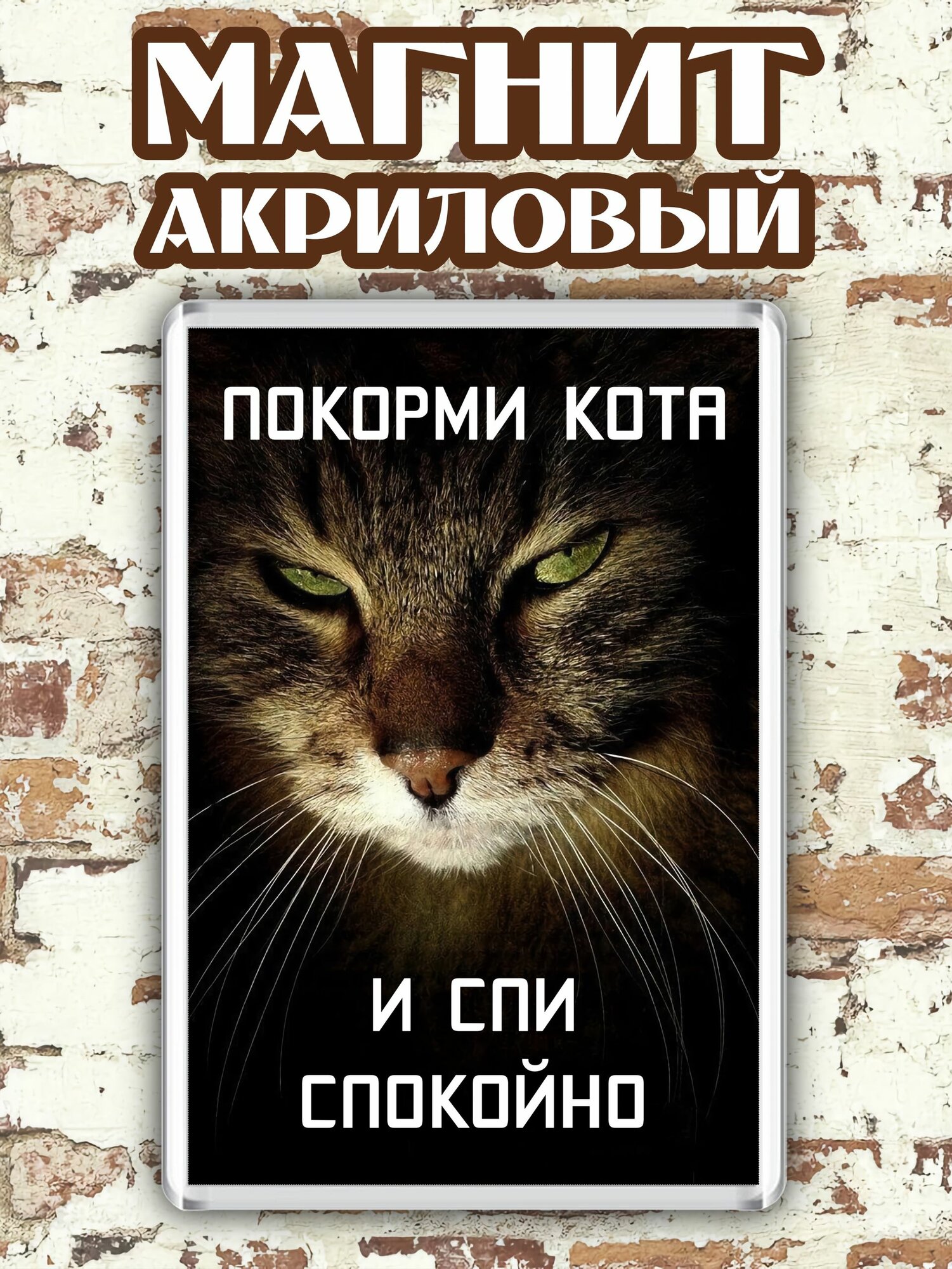 Магнит на холодильник "А ты кормил кота?"