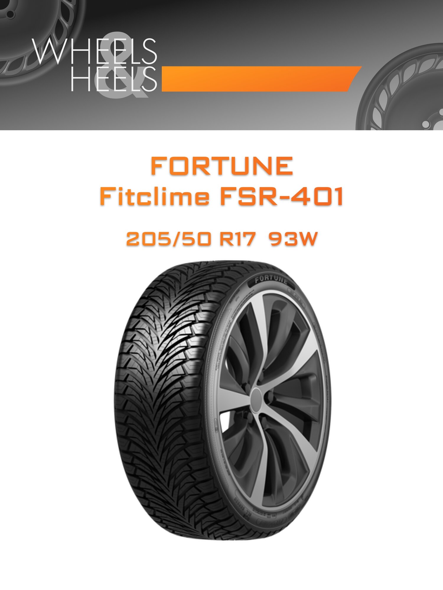 Шина автомобильная Fortune Fitclime FSR-401 205/50 R17 93W XL ALLSEASON, всесезонная, универсальная