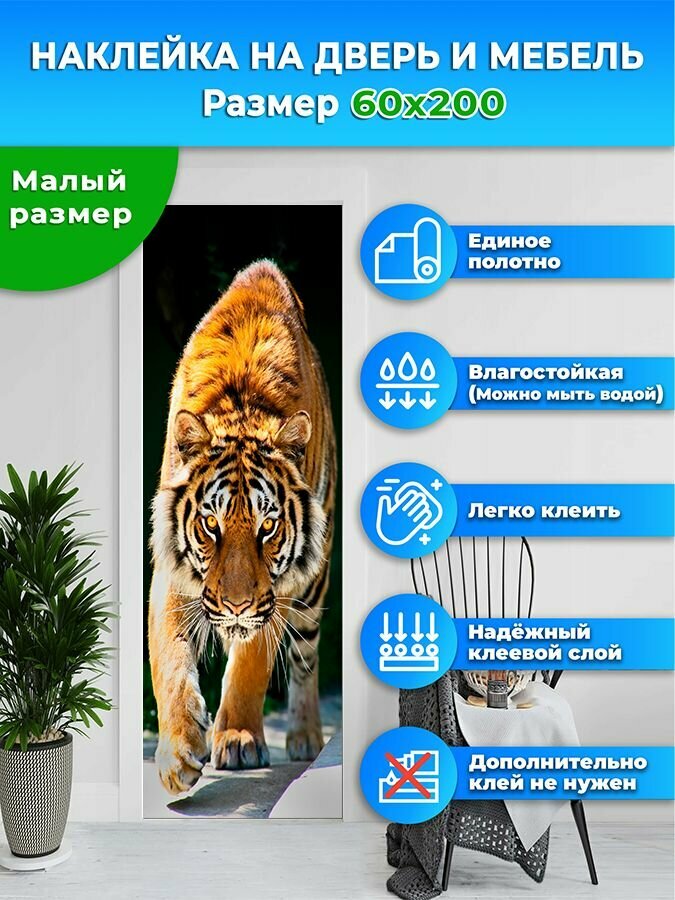 Наклейка интерьерная на дверь "Тигр", 60 х 200 см, самоклеющаяся