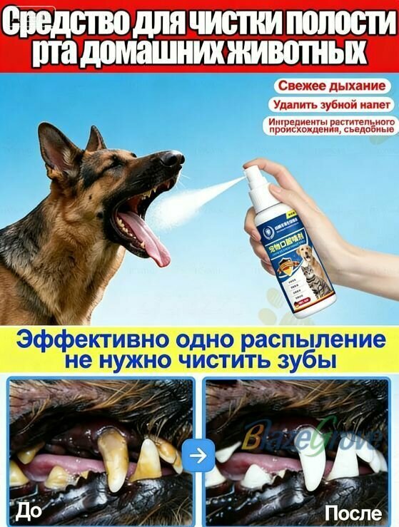Спрей для гигиены полости рта домашних животных. Удаляет зубной налёт и зубной камень, освежает дыхание, не требует чистки зубов, съедобен. для собак для кошек без чистки