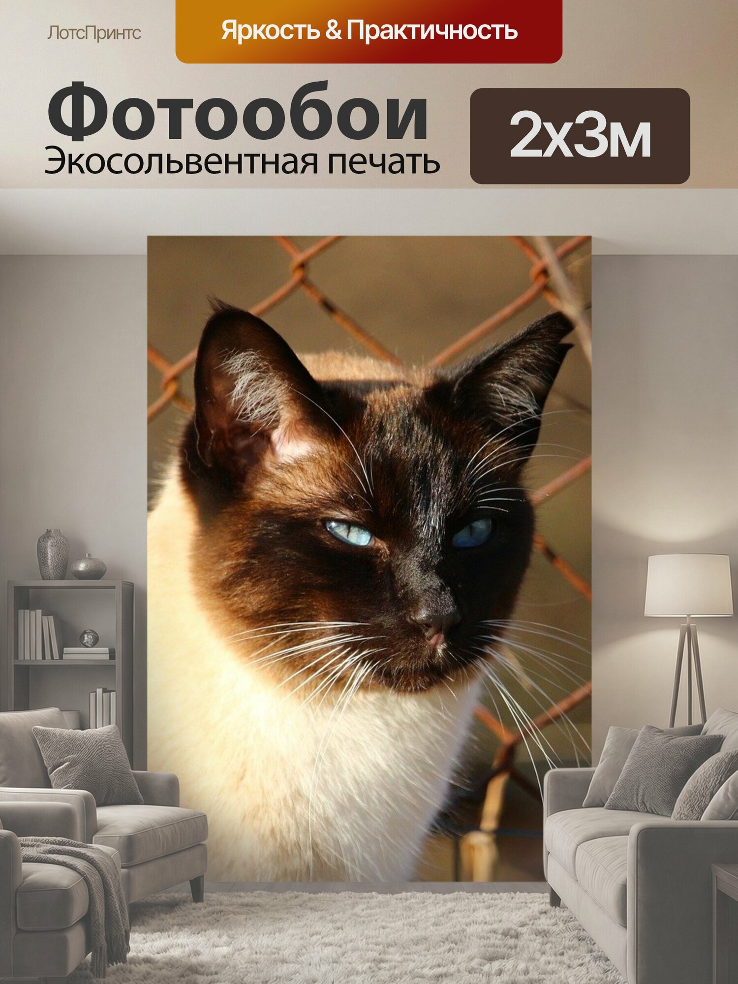 Фотообои "Кот, сиамский, сиам" 200x300 см. экосольвентная печать