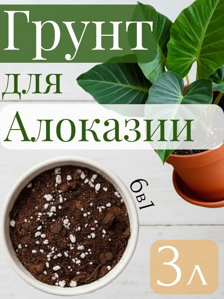 Готовый грунт для Алоказии 3 литра