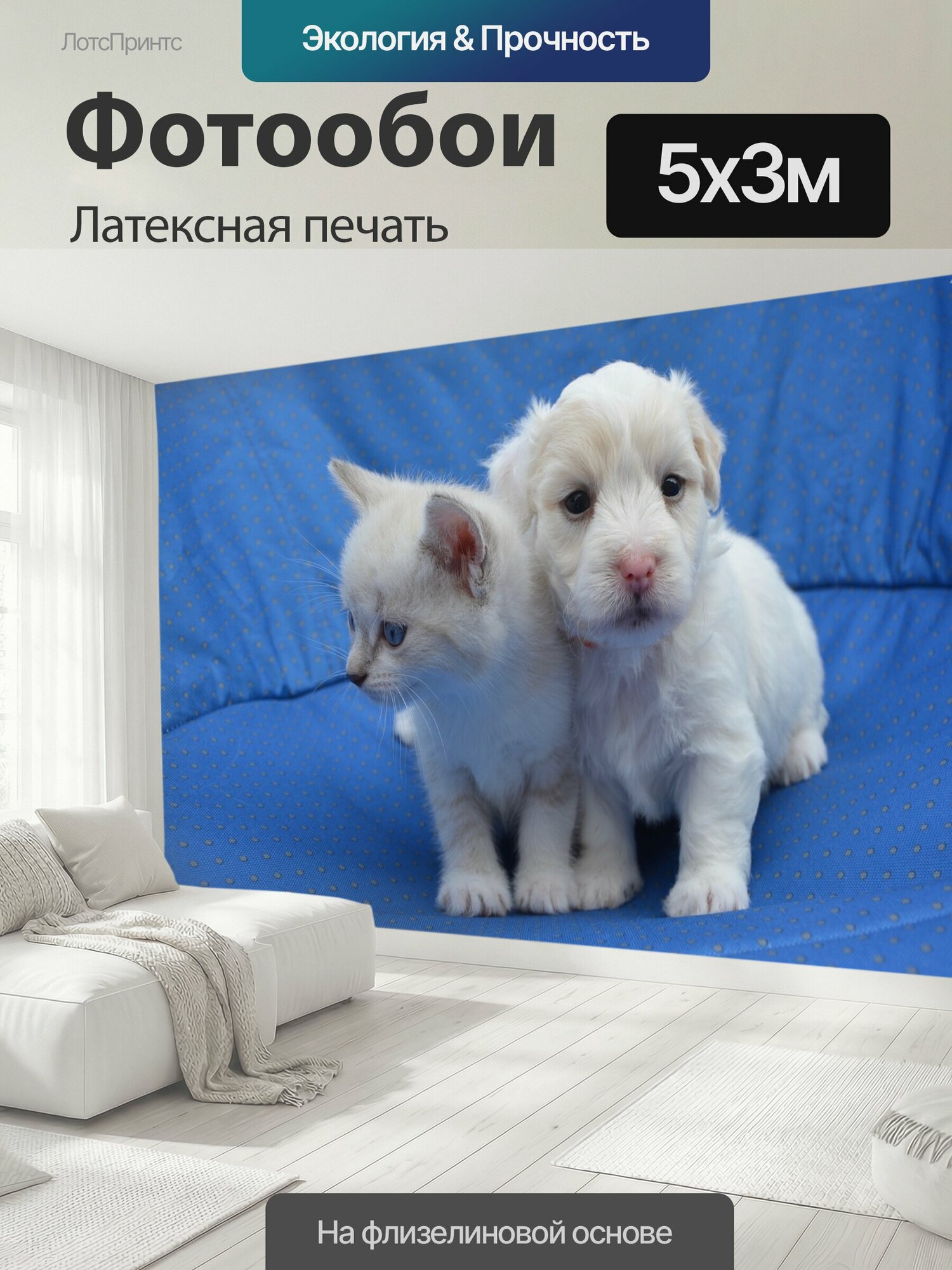 Фотообои моющиеся ударопрочные "Котенок щенок, щенок котенок, собака кошка" 500x300 см. латексная печать