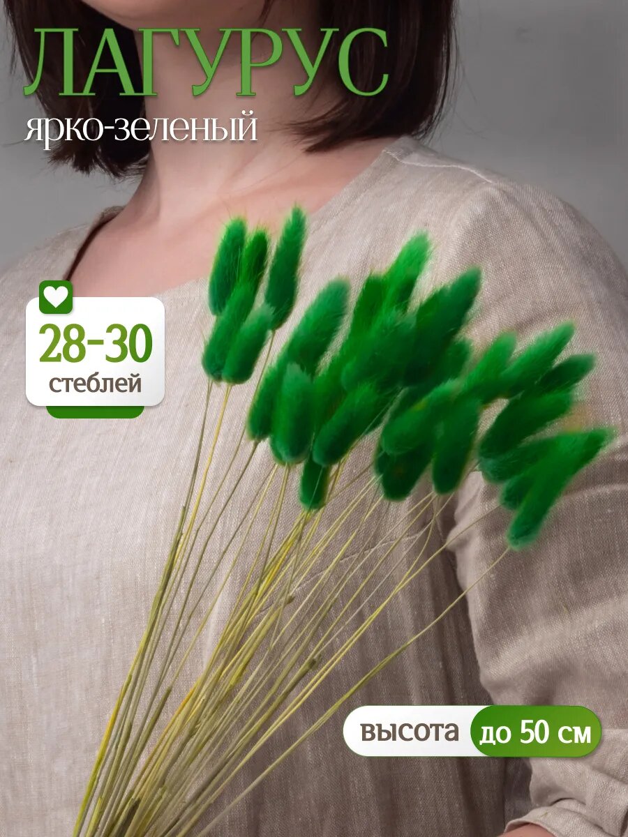 Лагурус ярко - зеленый 30 шт для букета до 50 см, сухоцвет для декора elka.bio
