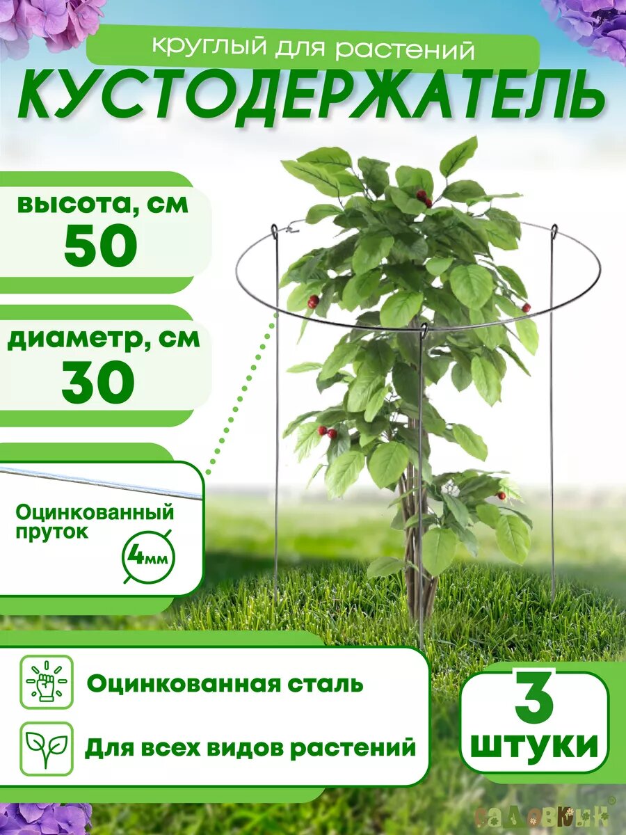 Опора для кустов, пруток d-4, D-30см, h-50см (3 штук)