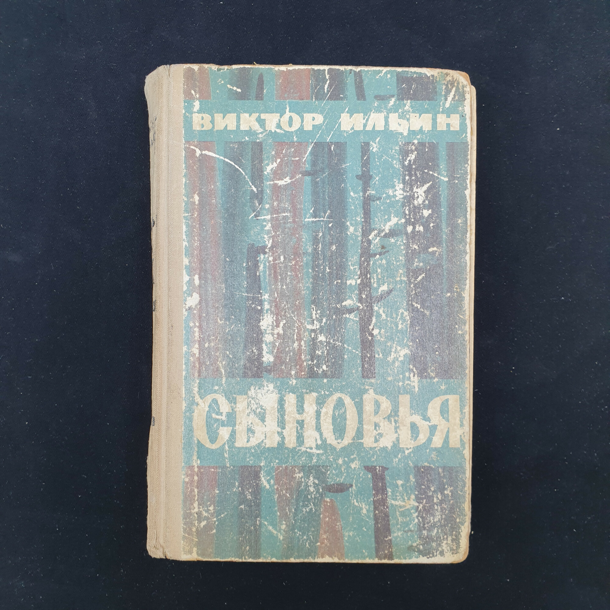 Виктор Ильин. Сыновья. Книга СССР, повести