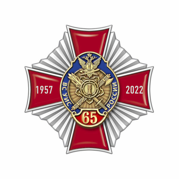 6в Знак нагрудный без колодки "65 лет Воспитательной службе УИС России"