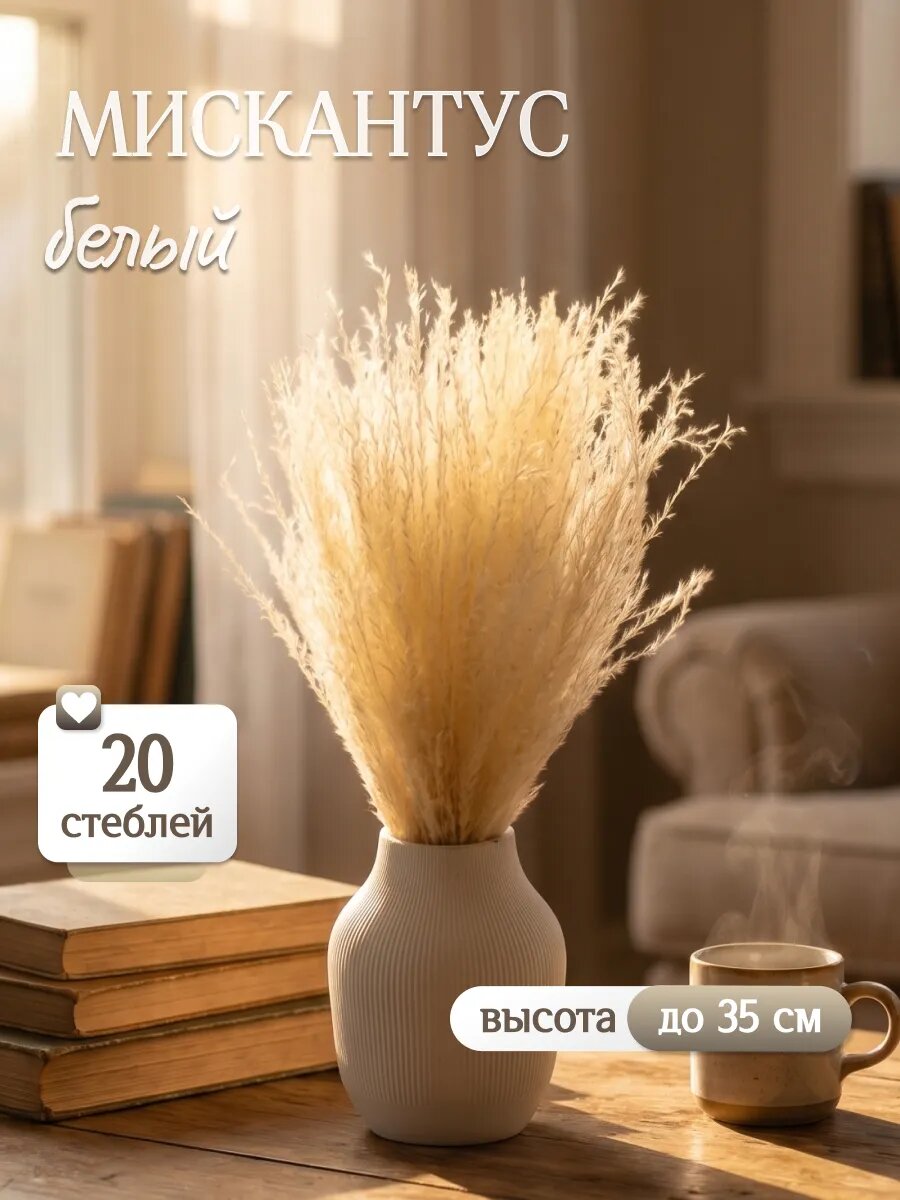 Мискантус бежевый 20 шт, сухоцветы для декора и интерьера