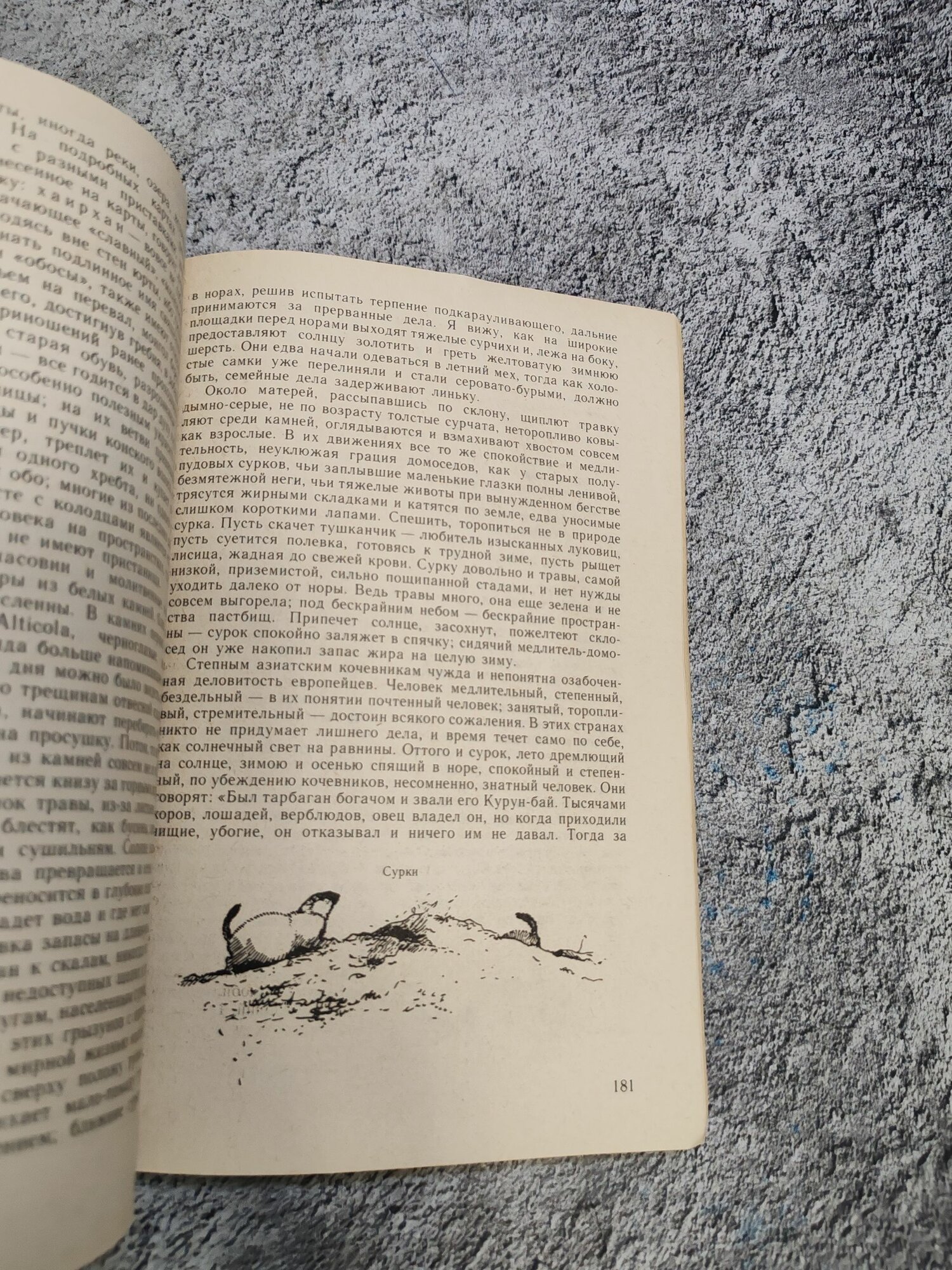 Среди природы (1985 г.) — фото 1