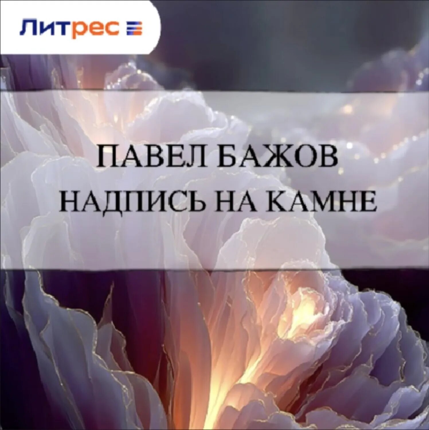 Надпись на камне [Аудиокнига]