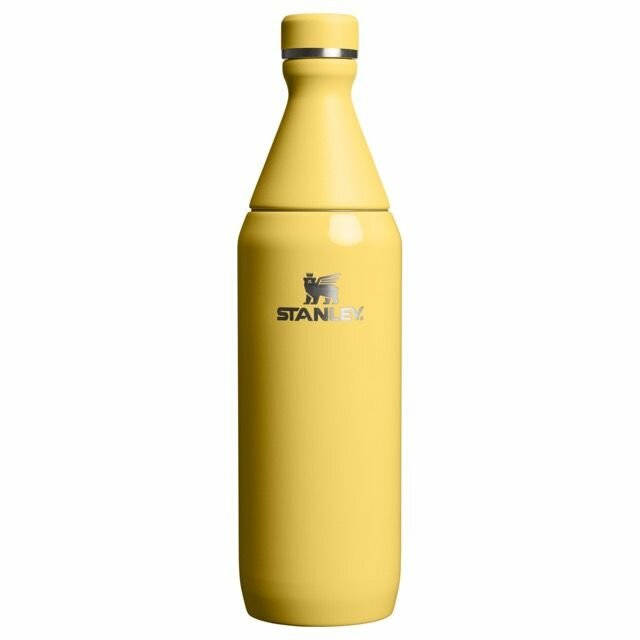 Термобутылка STANLEY ALL DAY SLIM BOTTLE 0,59L (10-12893-0017) желтая