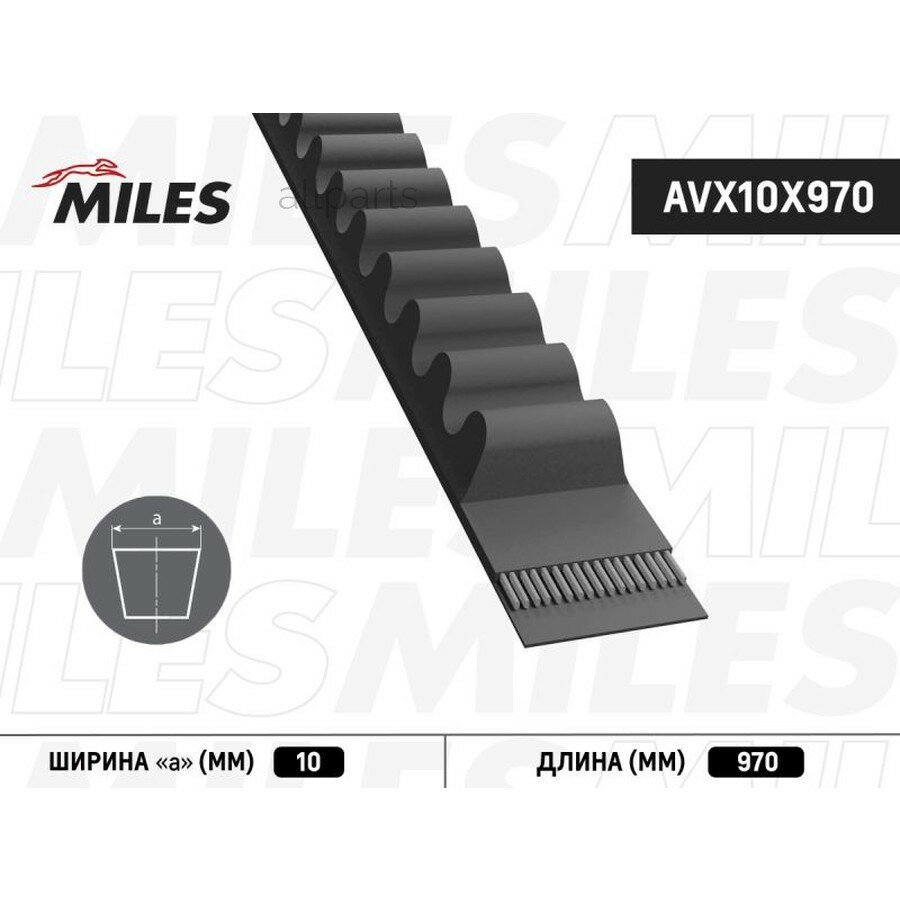 MILES AVX10X970 Ремень приводной клиновой