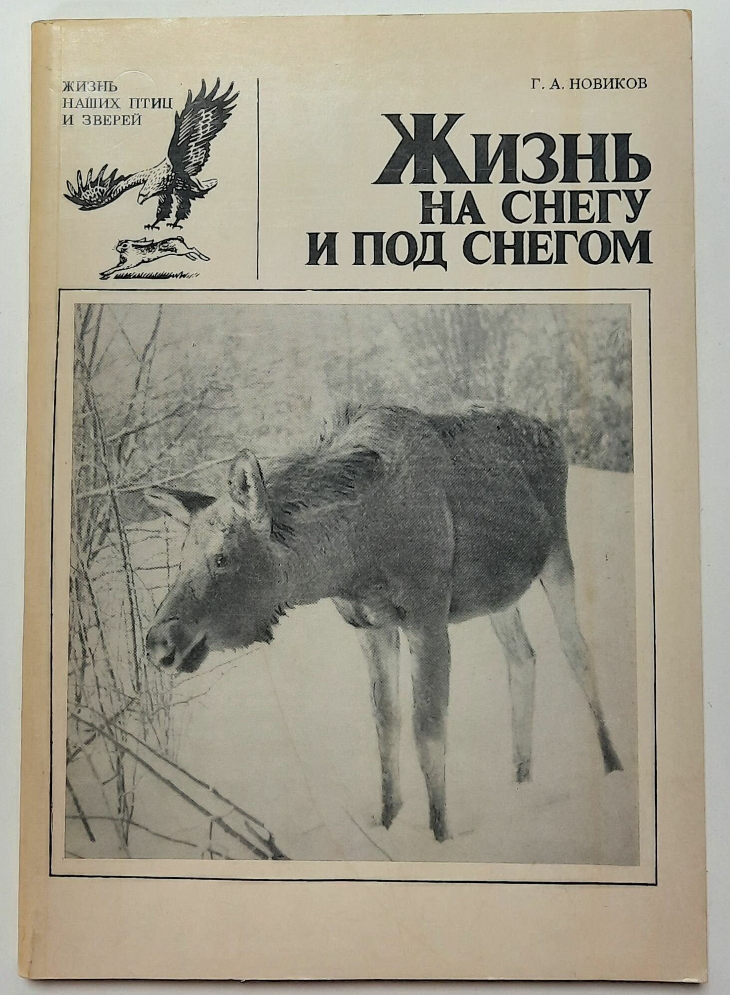 Жизнь на снегу и под снегом