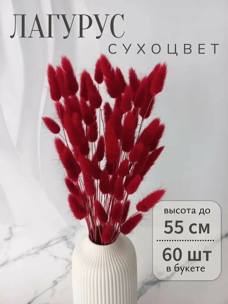 Сухоцветы, 60 шт — фото 1