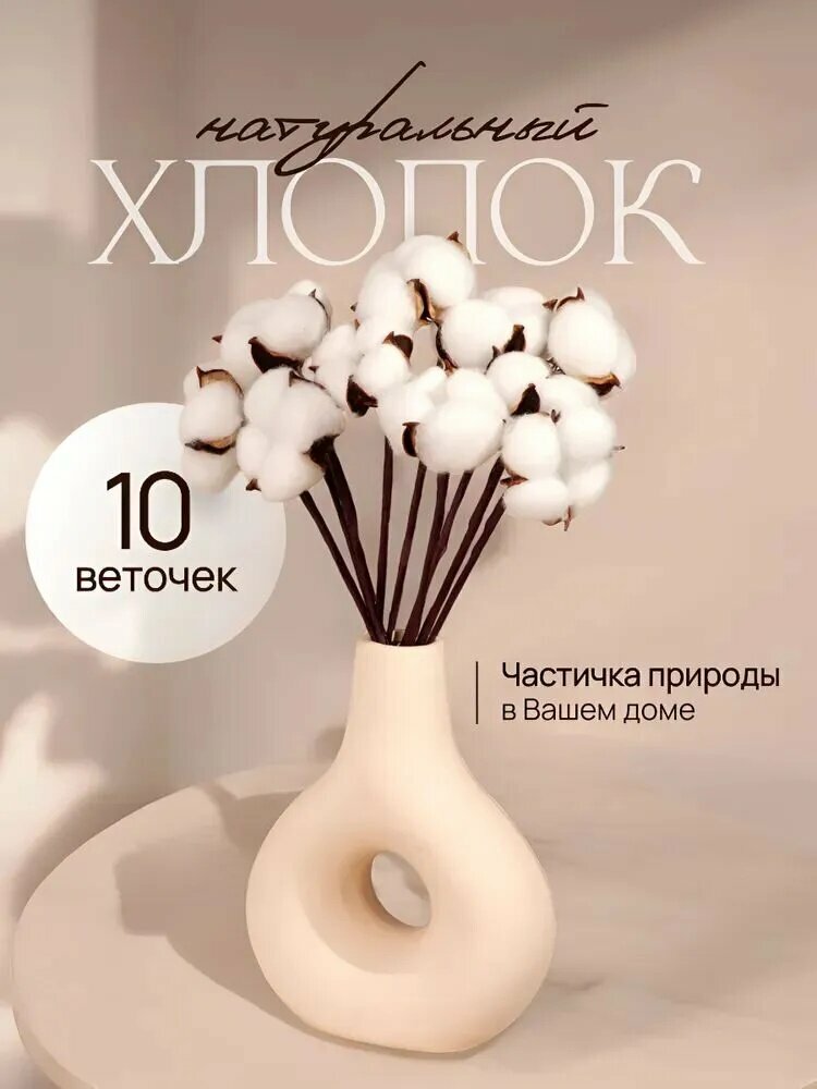 Сухоцветы Сухоцвет, 30 см, 100 гр, 10 шт