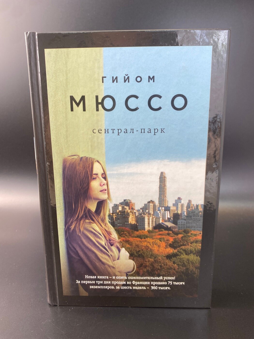 Сентрал-парк. Мюссо Гийом